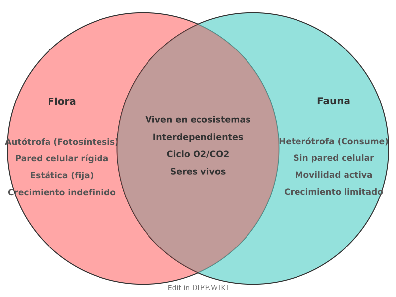 Flora y Fauna: La Diferencia Fundamental entre las Plantas y los ...