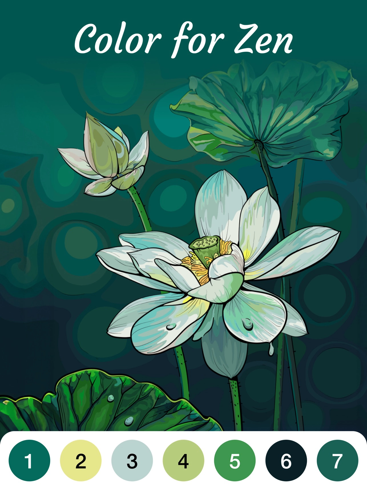 Zen Color - Color By Number | The Puzzle Aisle